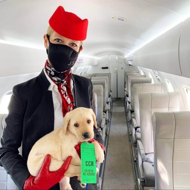 JSX Airlines Flight Attendant Requirements Cabin Crew HQ jsx-airlines-flight-attendant-requirements-cabin-crew-hq