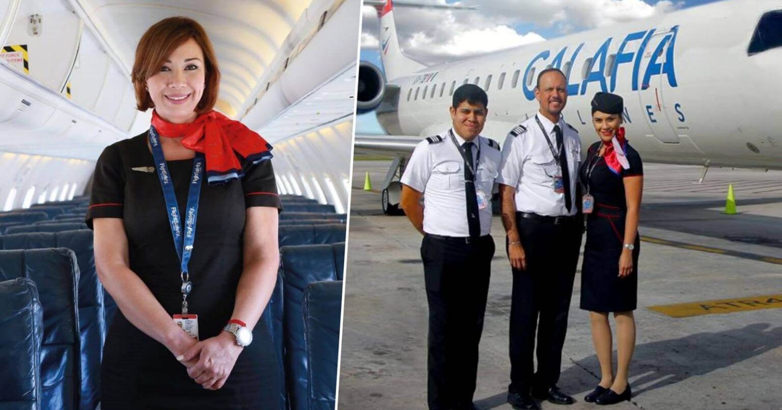 How to Apply Calafia Airlines Flight Attendant Jobs - Cabin Crew HQ