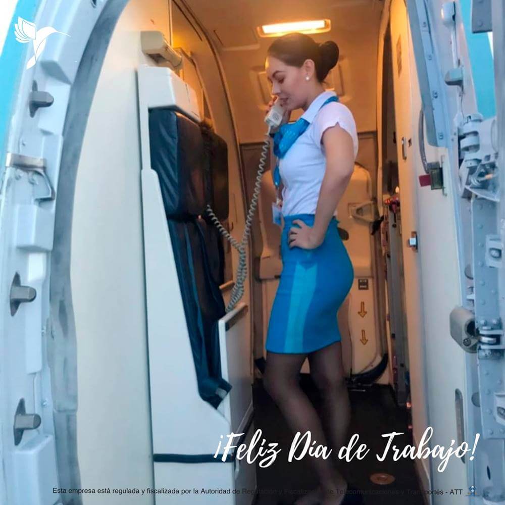 EcoJet Flight Attendant Requirements and Qualifications - Cabin Crew HQ